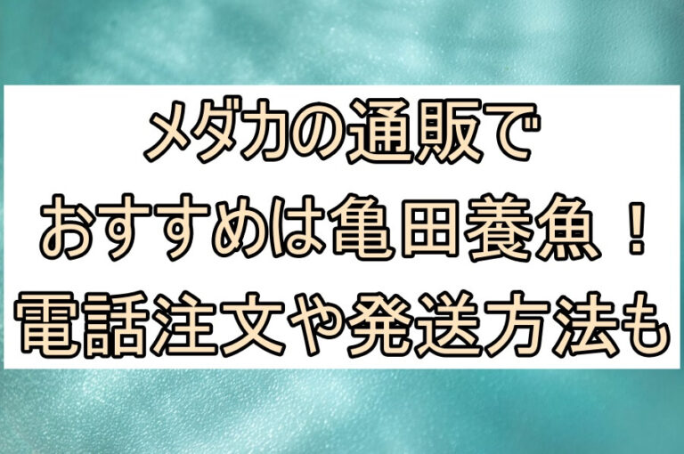 メダカ通販でおすすめは亀田養魚！電話注文や発送方法についても - 彩blog